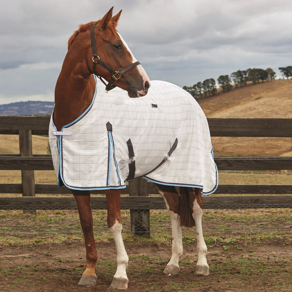 Weatherbeeta Summer Sheet Cotton Standard Neck - Grey/Light Blue ...