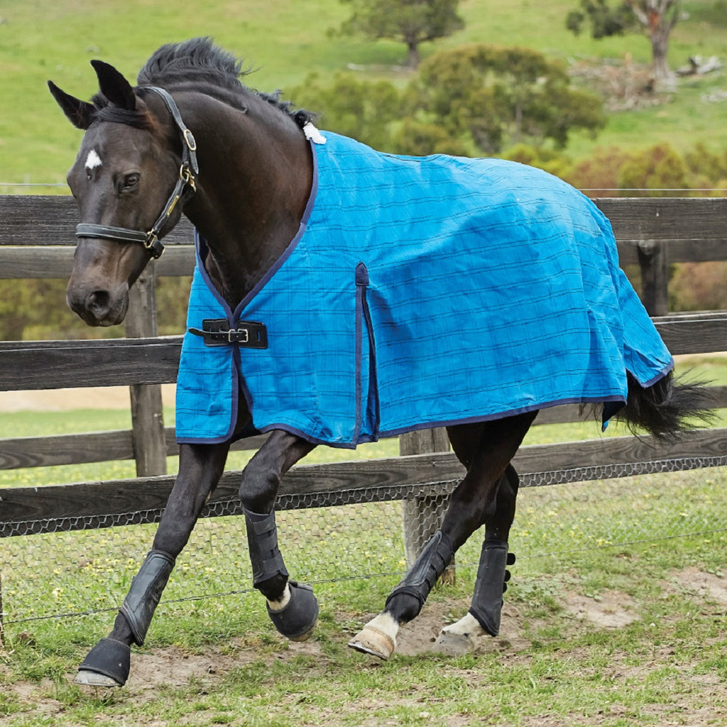 Weatherbeeta - Unlined Canvas Standard Neck - Blue – Rangiora Equestrian Supplies
