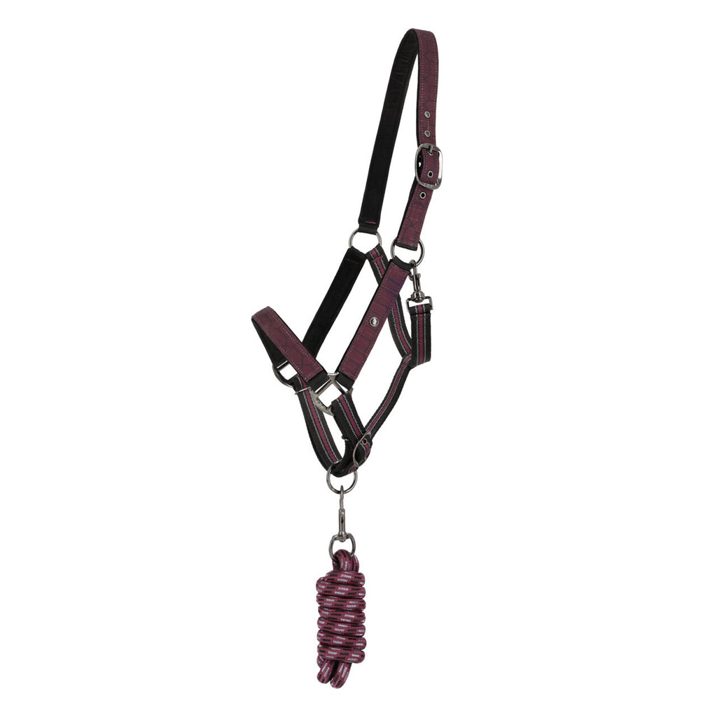 Head Collar Set - Wine Red – Rangiora Equestrian Supplies