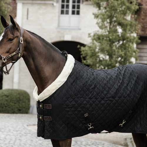 Kentucky Rugs – Rangiora Equestrian Supplies