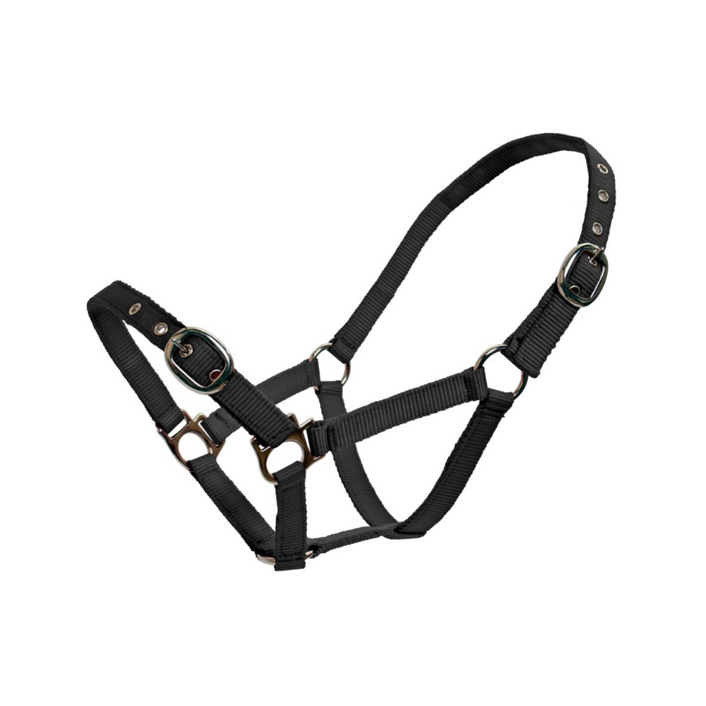 Flair - Classic Web Halter – Rangiora Equestrian Supplies
