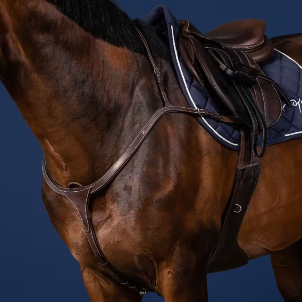 Dy'on - US Jumping Long Bridge Breastplate - Brown – Rangiora ...