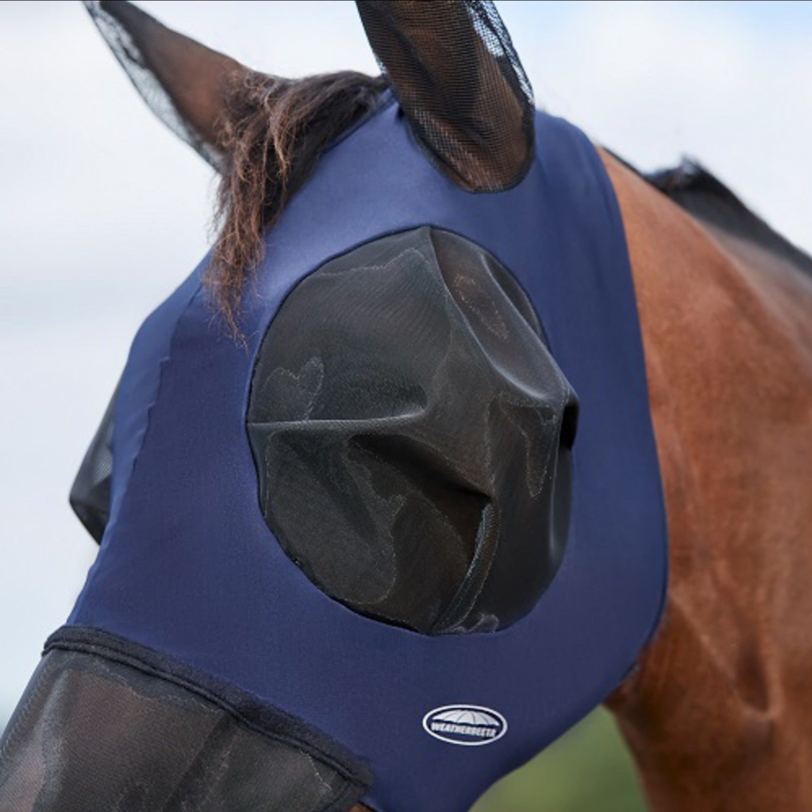 Weatherbeeta - Luxe Bug Eye Saver with Ears & Nose – Rangiora ...