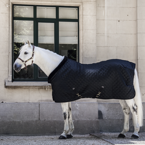 Kentucky Rugs – Rangiora Equestrian Supplies