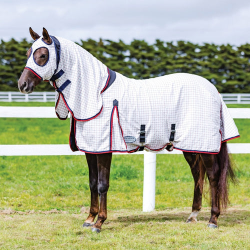 Summer Rugs – Rangiora Equestrian Supplies