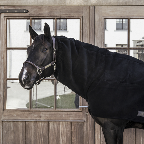 Kentucky Rugs – Rangiora Equestrian Supplies