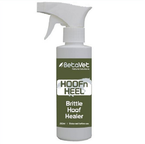 Betavet – Rangiora Equestrian Supplies