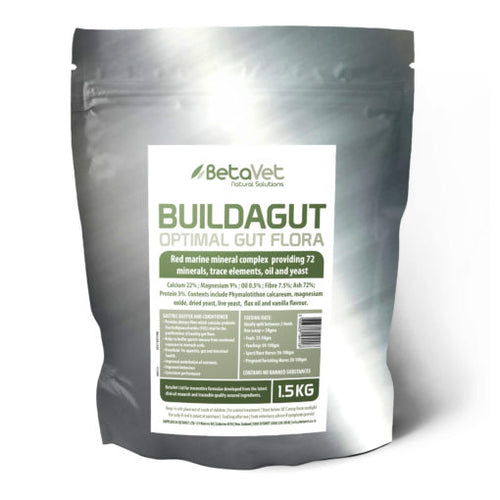 Betavet – Rangiora Equestrian Supplies